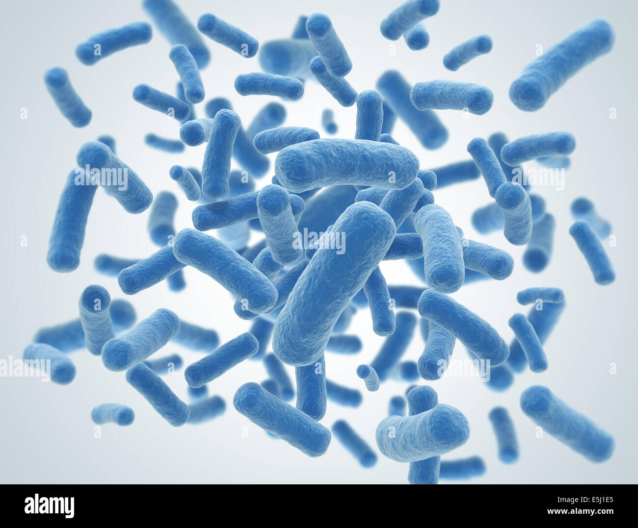 Microscope image of bacteria hi-res stock photography and images - Alamy