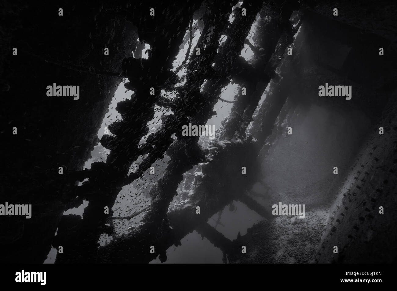 Inside the hull of the shipwreck Umbria sunk on Wingate reef in the Red ...