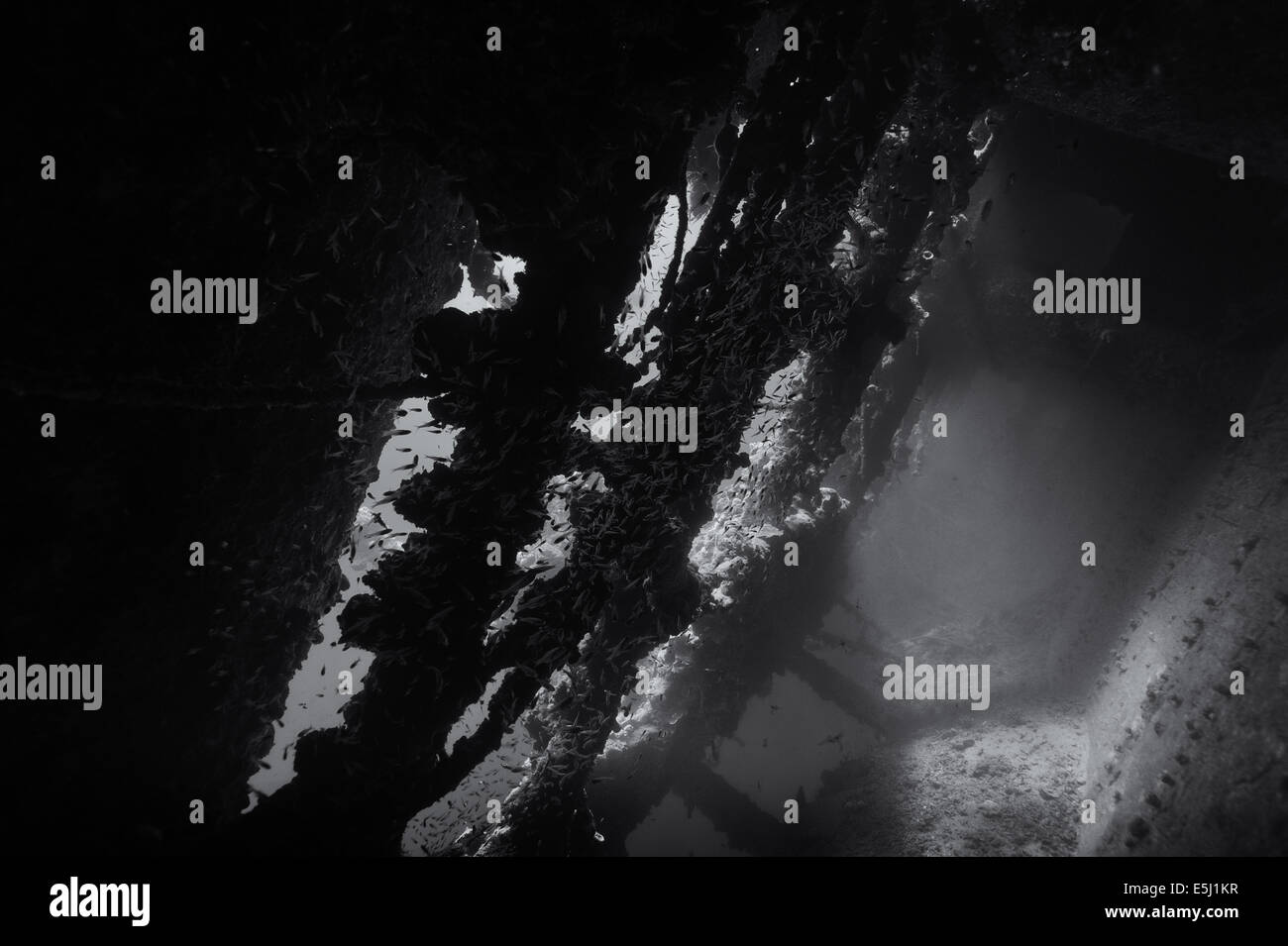 Inside shipwreck hi-res stock photography and images - Alamy