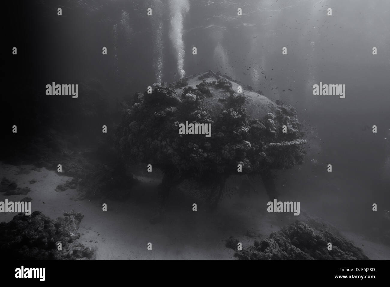 Remains of Précontinent II, Conshelf II in the Red Sea off Sudan coast ...
