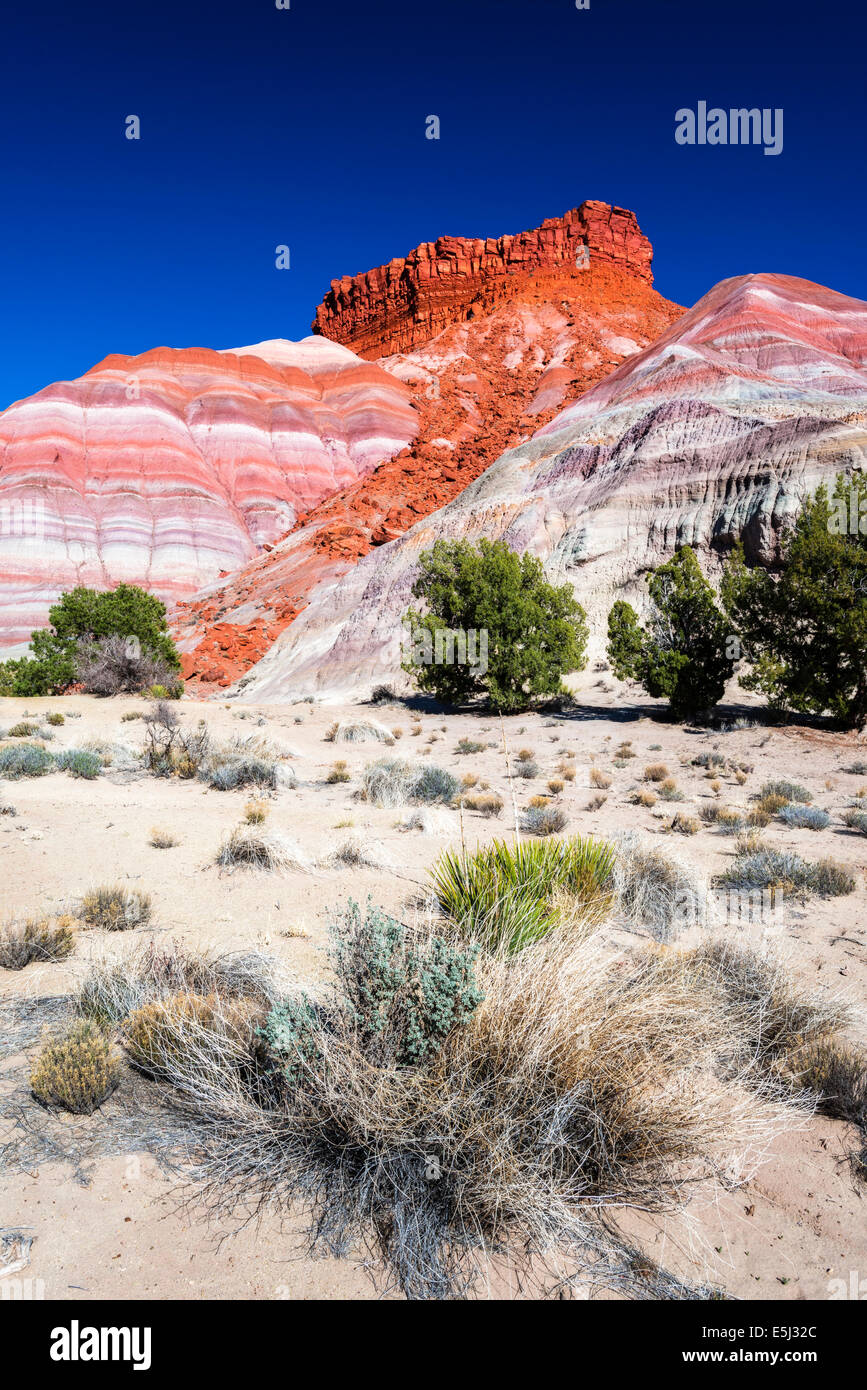 Evening light on the Cockscomb, Grand Staircase-Escalante National ...