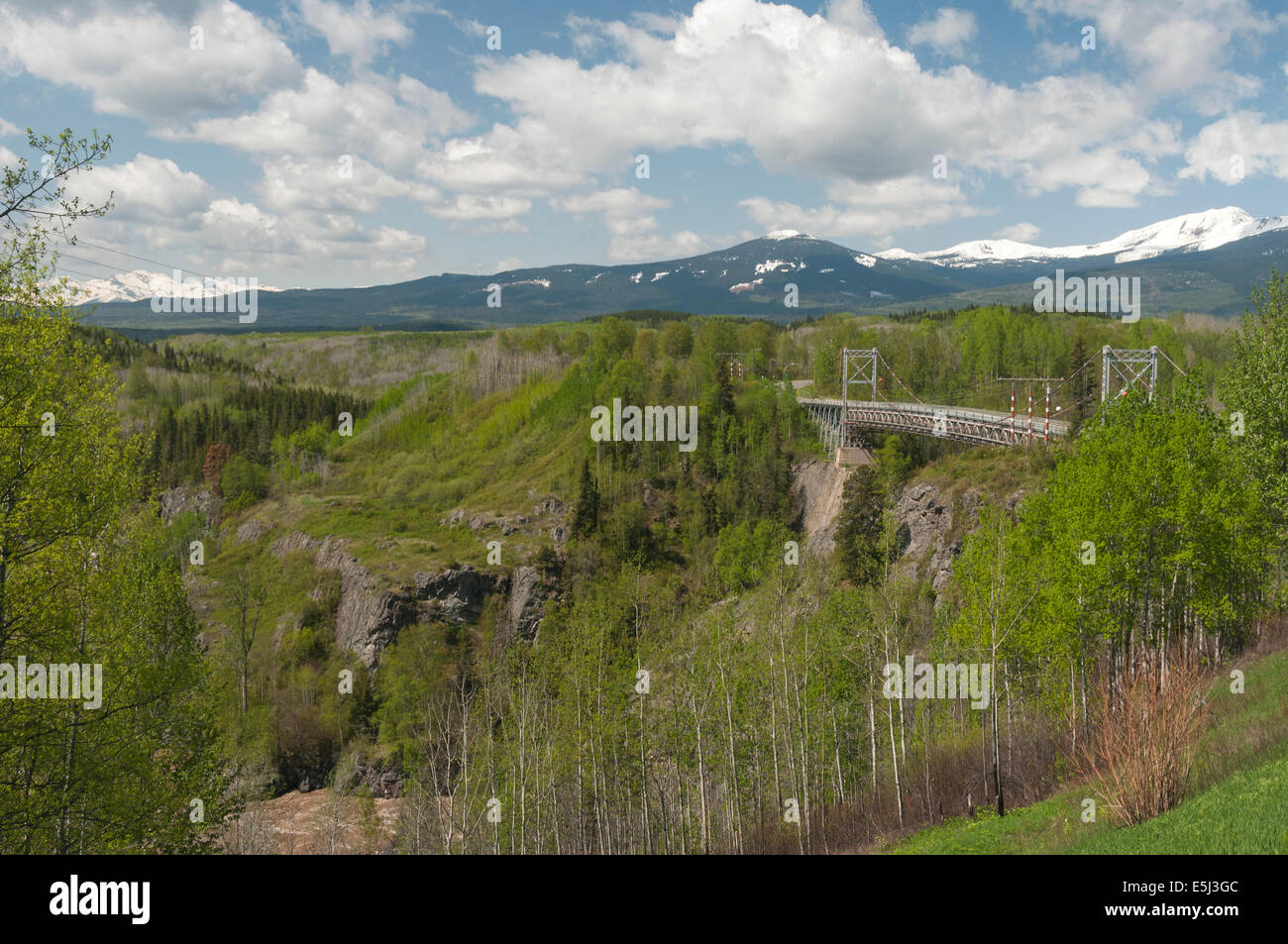 Elk203 4029 hi-res stock photography and images - Alamy