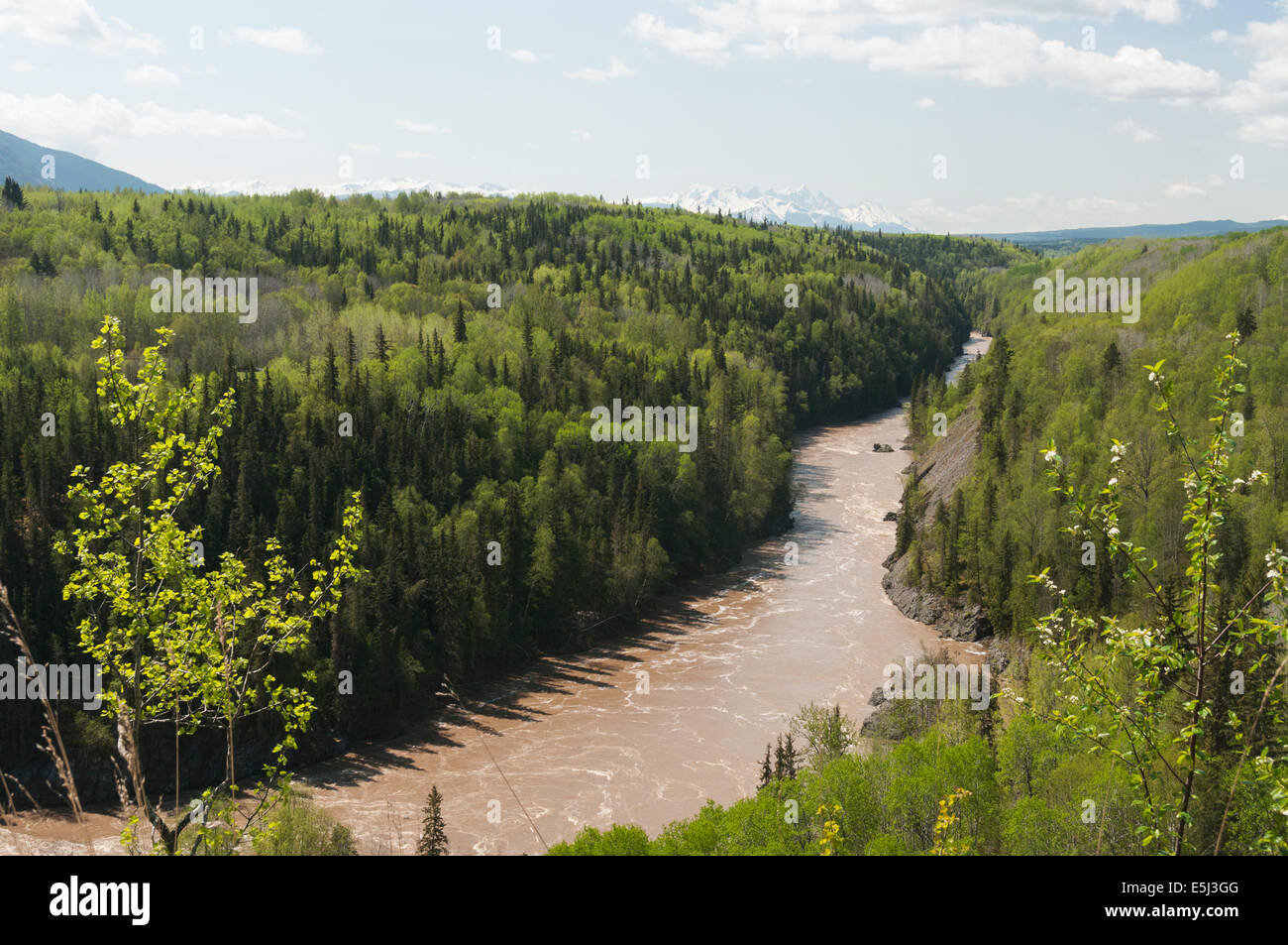 Skeena river british columbia hi-res stock photography and images - Alamy
