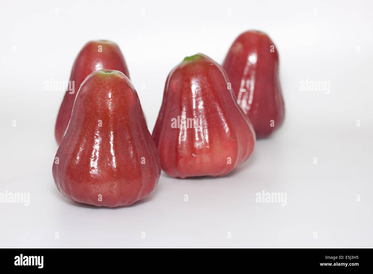 Mountain rose apple hi-res stock photography and images - Alamy