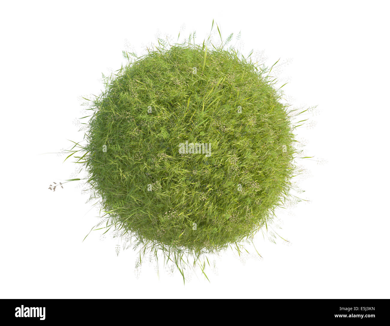 Green grass spheres design object isolated on white background Stock ...