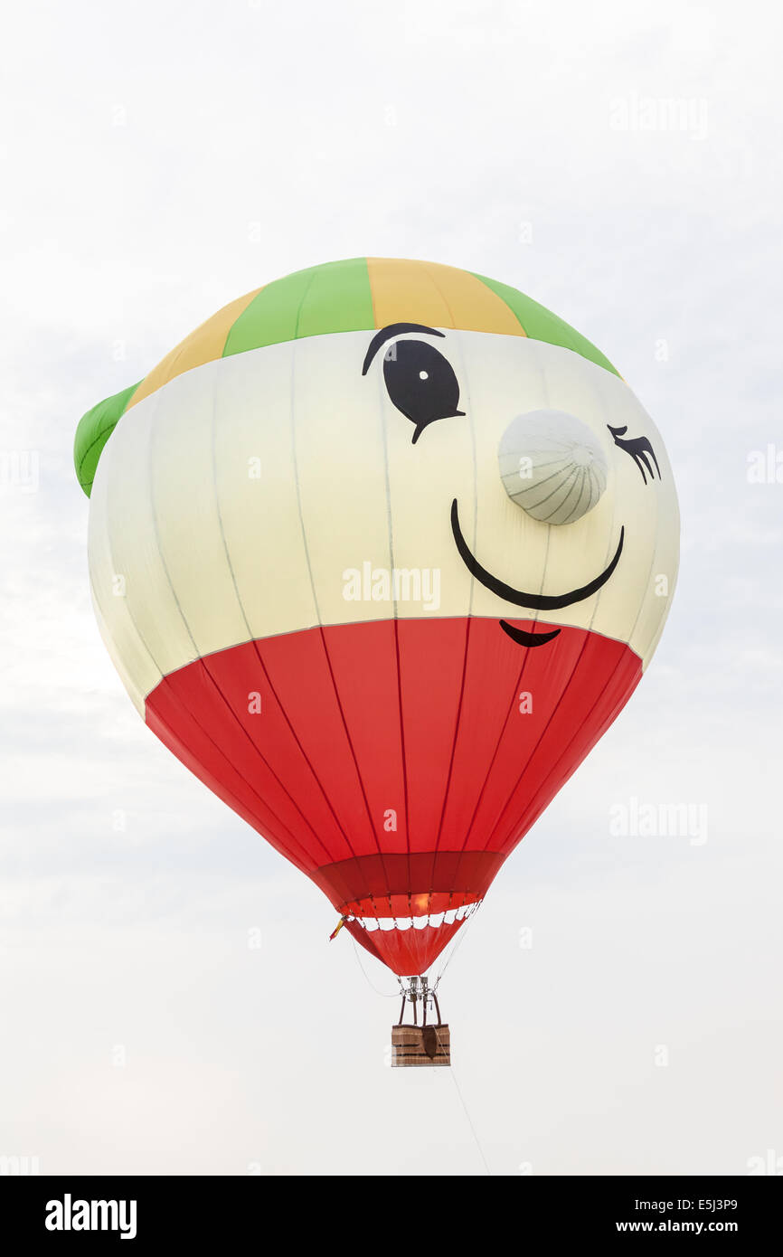The hot air balloon is the oldest successful human-carrying flight ...