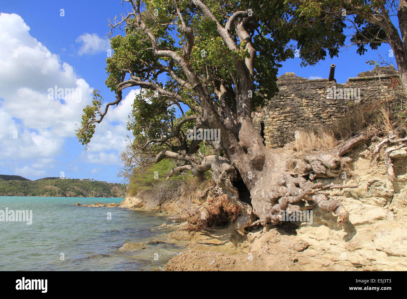 Cannon shown on British Fort James which was built to guard St. John’s ...