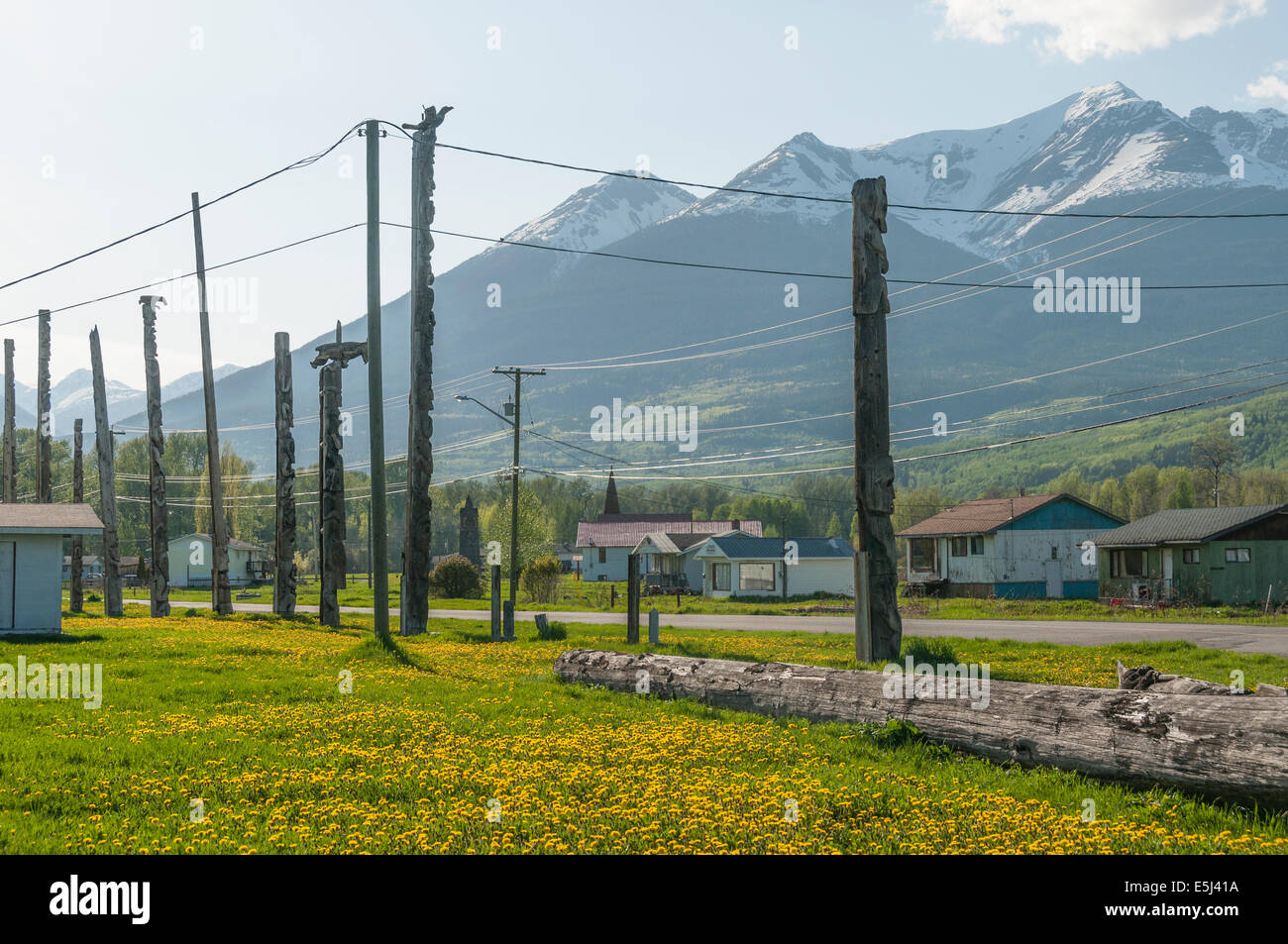 Elk203-4160 Canada, British Columbia, Gitwangak, Gitxsan totem poles ...