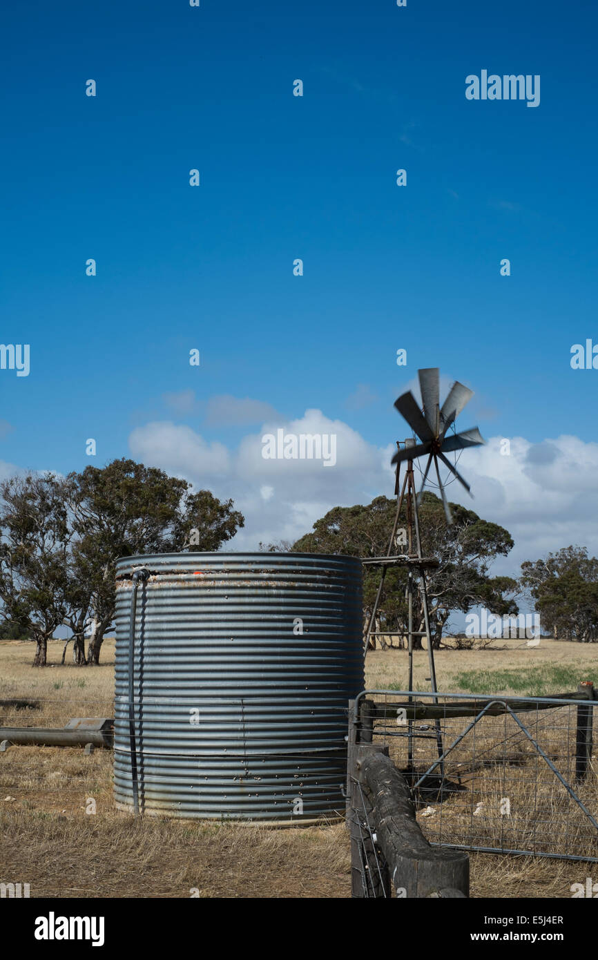 Windmill turning in the wind pumping water from galvanised iron tank ...