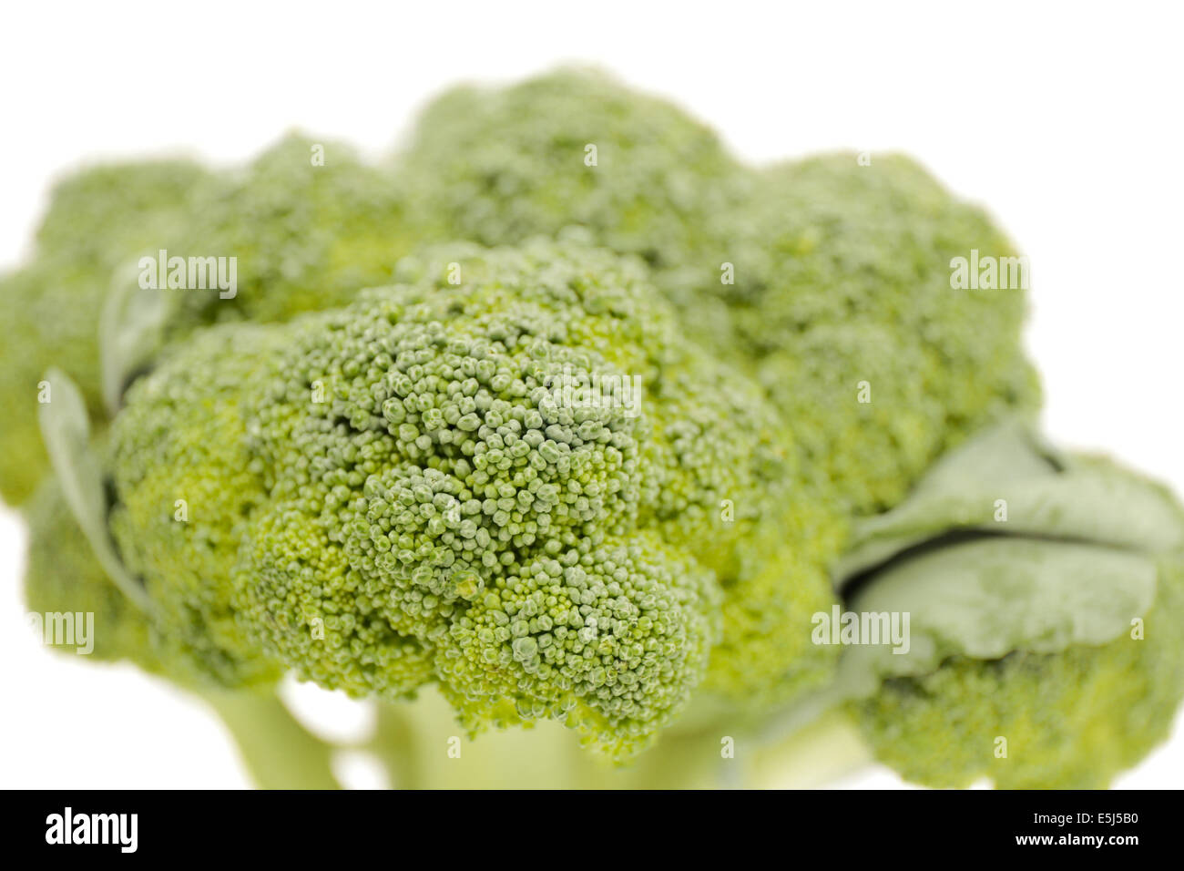 Nutritious broccoli hi-res stock photography and images - Alamy