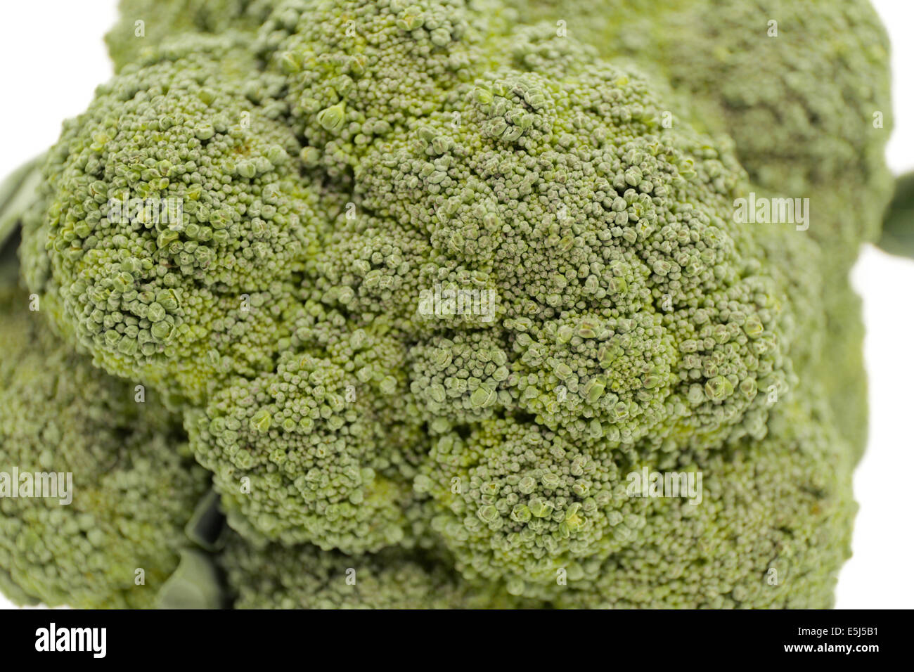 Nutritious broccoli hi-res stock photography and images - Alamy