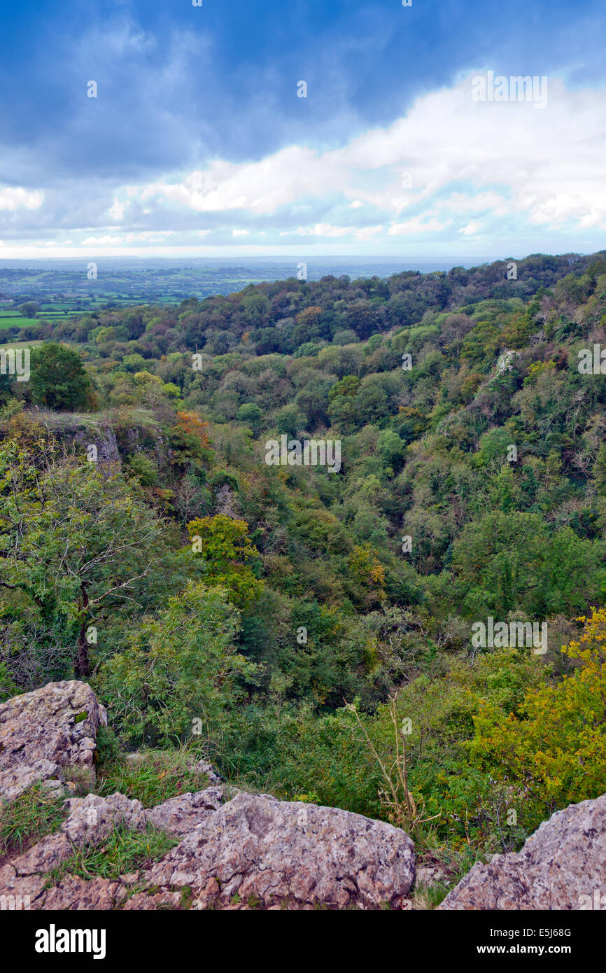Looking down into Ebbor Gorge, Mendip Hills, Somerset, England, UK ...