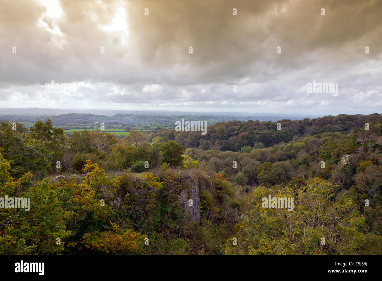 Looking down into Ebbor Gorge, Mendip Hills, Somerset, England, UK ...