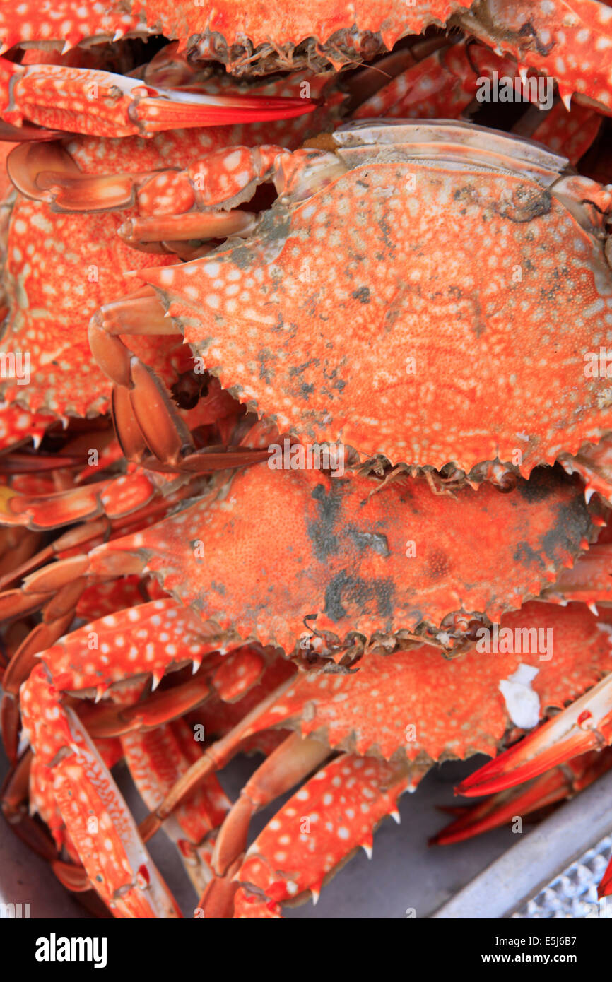 Crab texture hi-res stock photography and images - Alamy