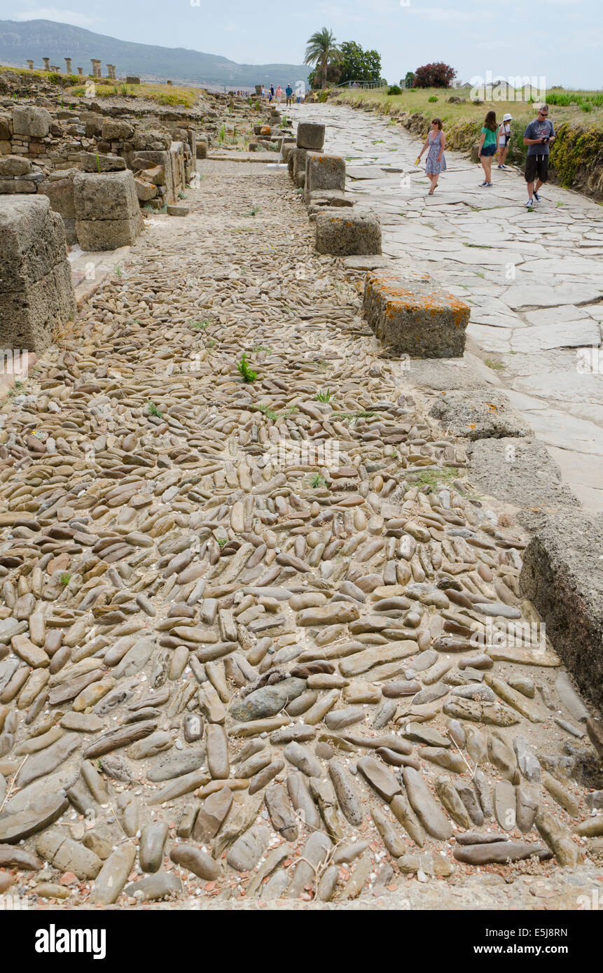 Ancient roman pavement, roman ruins of Baelo Claudia, Bolonia, Costa de ...