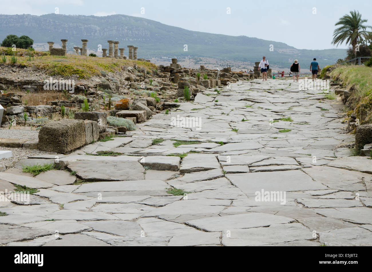 Ancient roman pavement, roman ruins of Baelo Claudia, Bolonia, Costa de ...