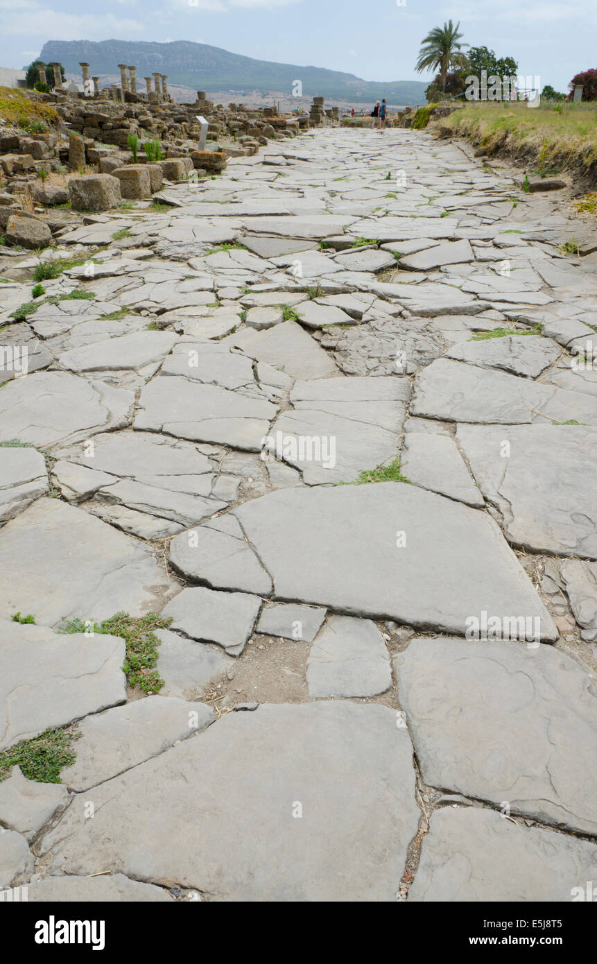 Ancient roman pavement, roman ruins of Baelo Claudia, Bolonia, Costa de ...