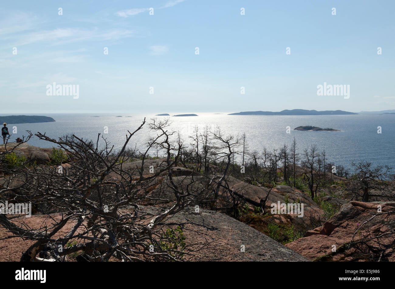 View from a mountain in the "High Coast Stock Photo - Alamy