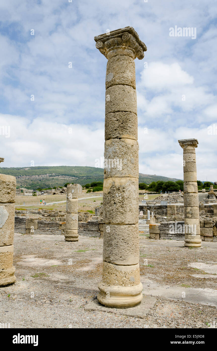 The basilica, public court building, roman column, pilasters of Baelo ...