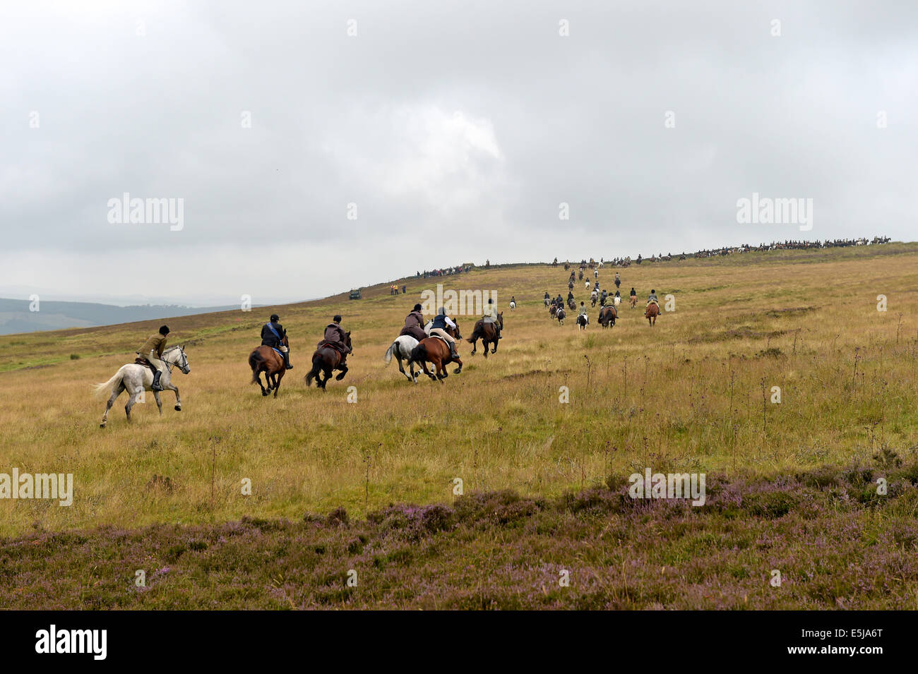Lauder, UK. 02 Aug 2014. Lauder Common Riding, 315 mounted followers ...