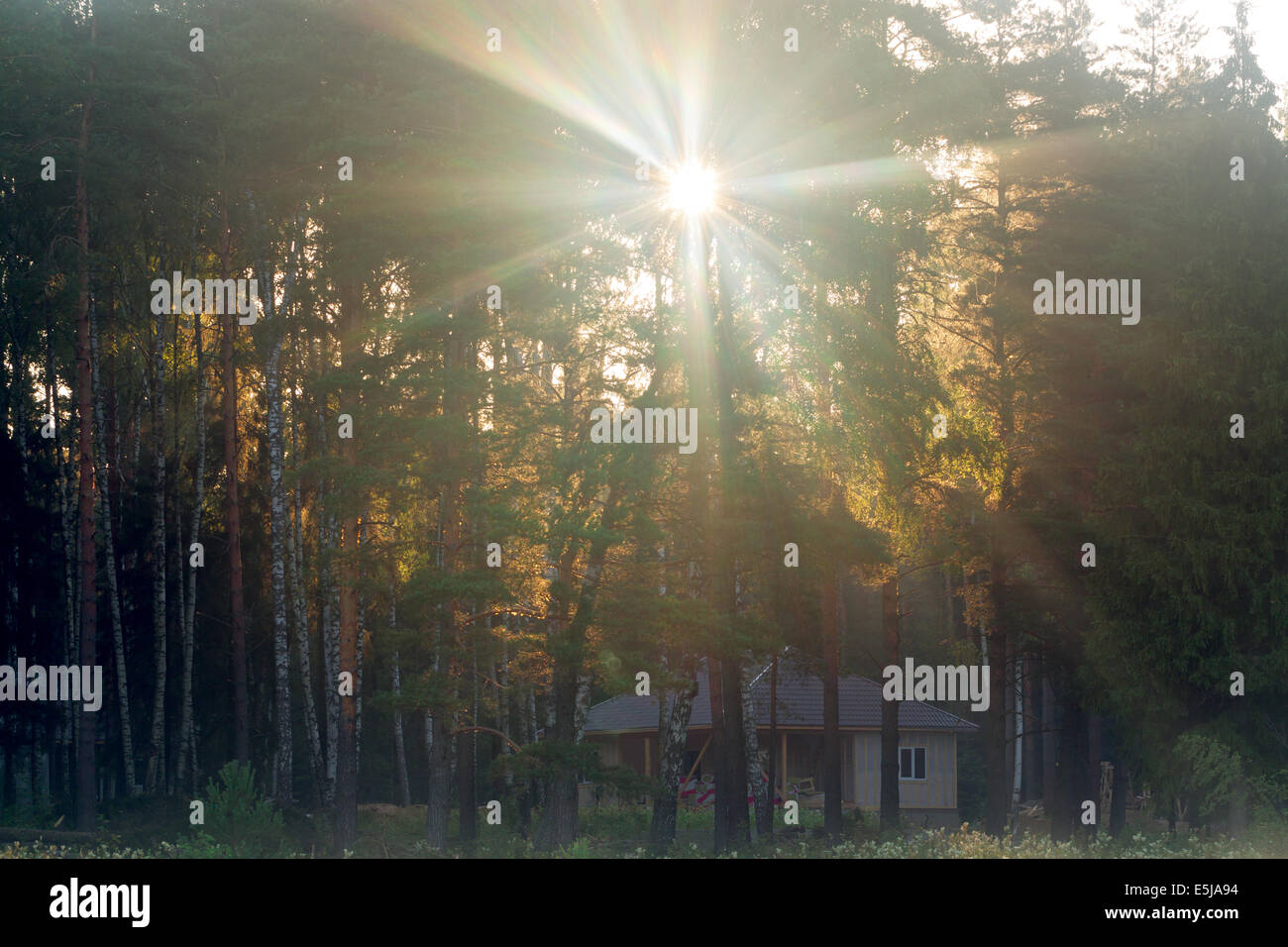house in the forest for rest Stock Photo - Alamy