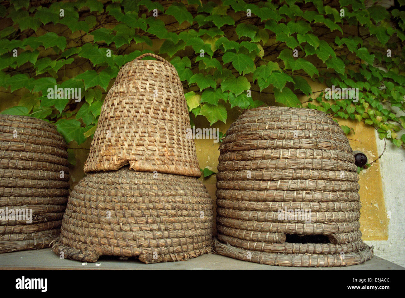 Homey bee hi-res stock photography and images - Alamy