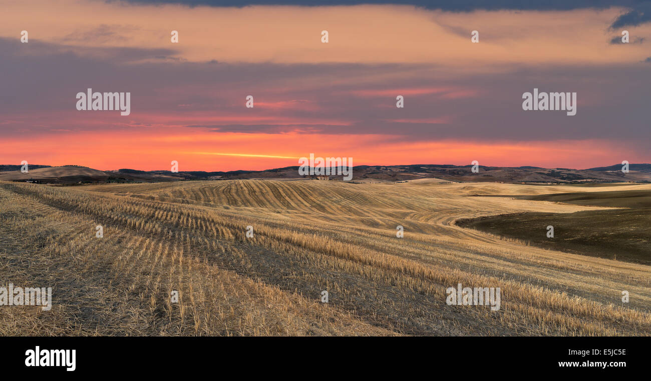 Panoramic view of the sloping field at sunset. Italy Tuscany Stock ...