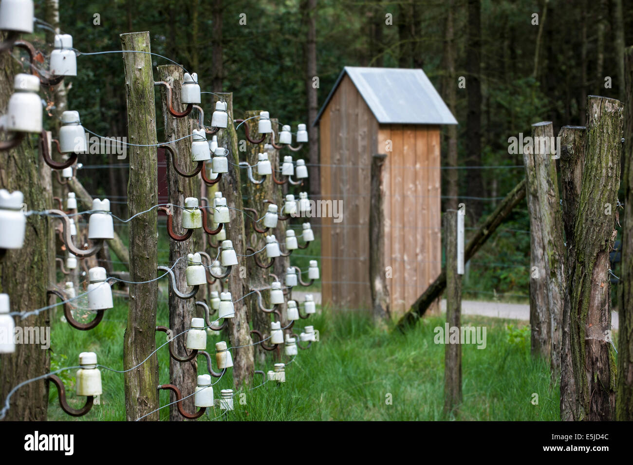 Belgian watch hi-res stock photography and images - Alamy