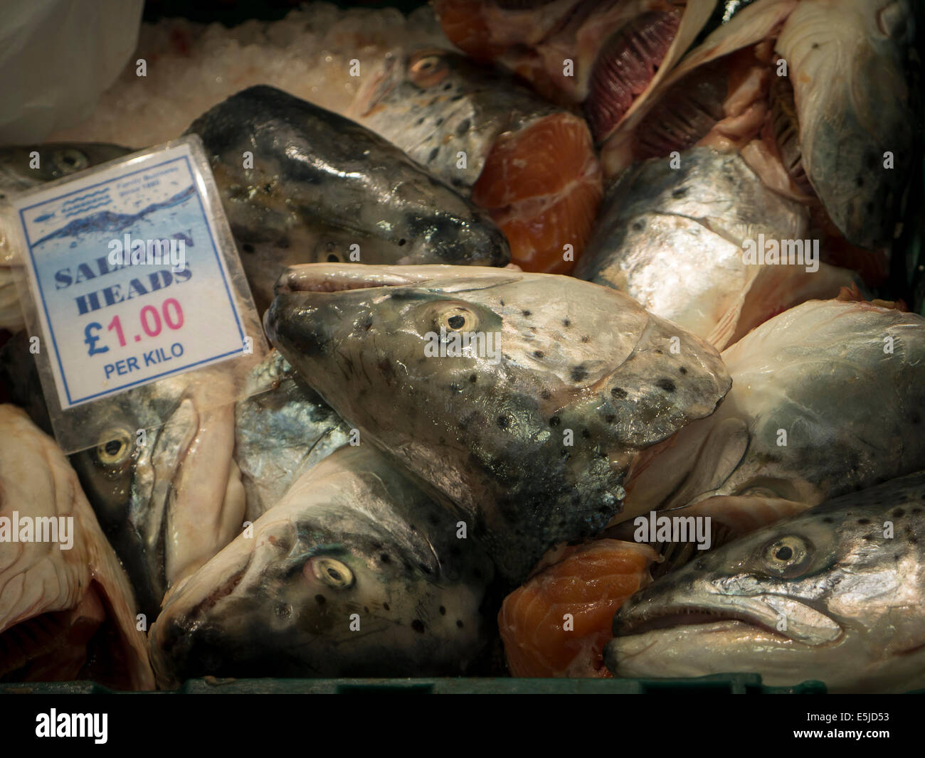 Salmon fish hi-res stock photography and images - Alamy