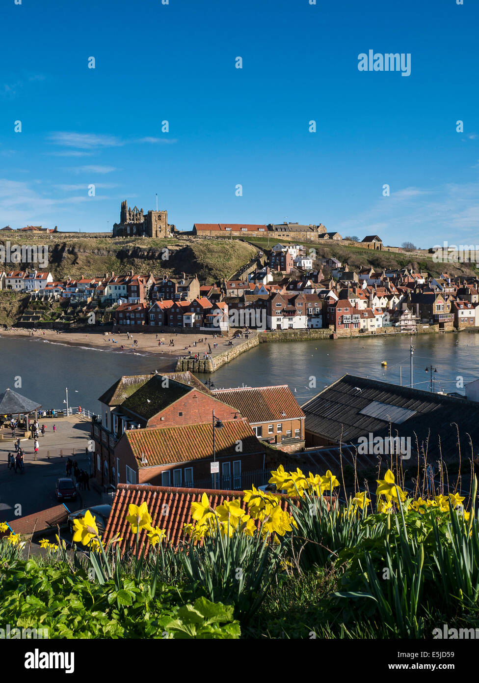 Whitby Old Town, North Yorkshre in spring Stock Photo - Alamy