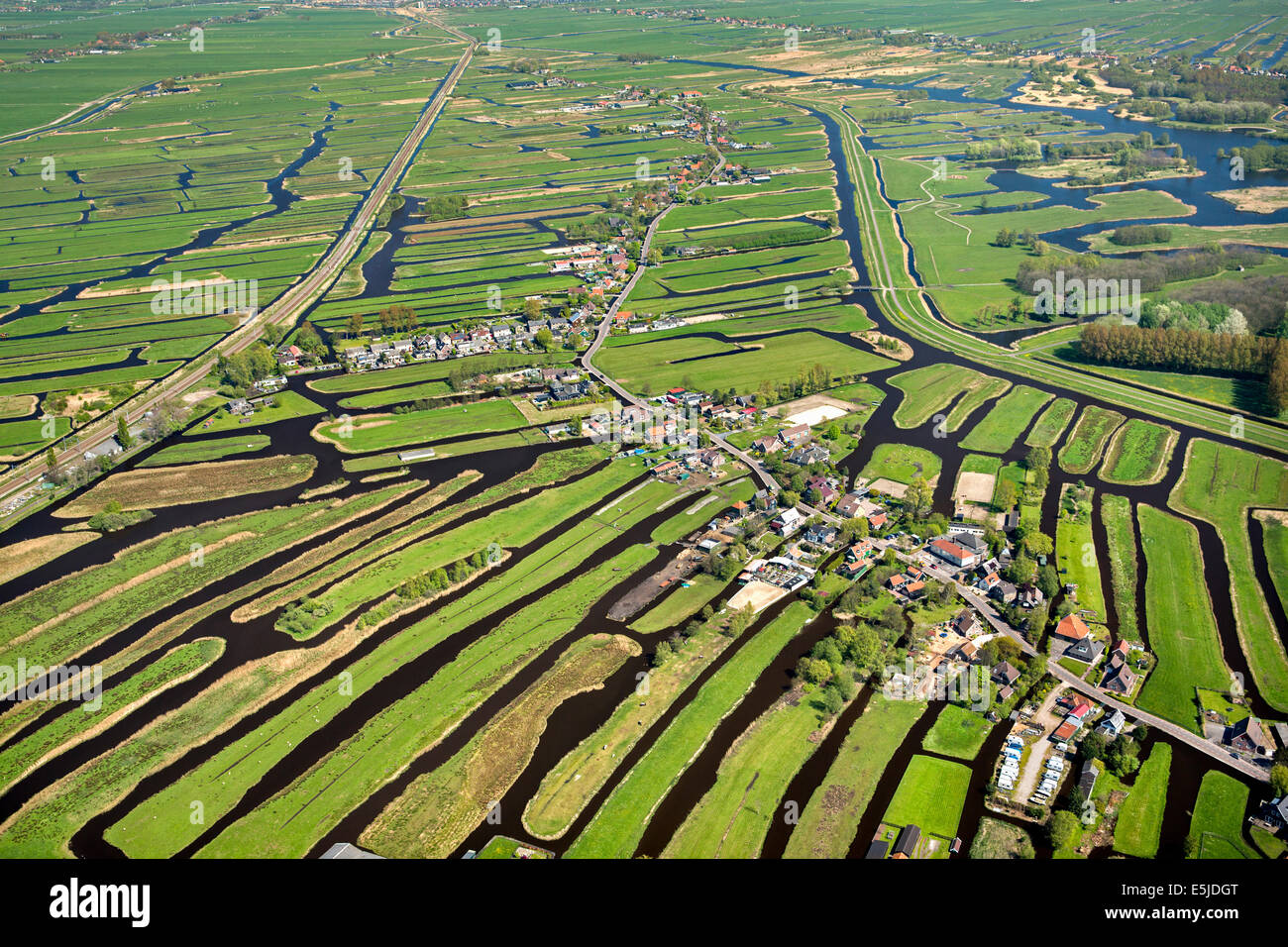 Netherlands, Oostzaan, Oostzanerveld, Bog area with meadows and houses ...