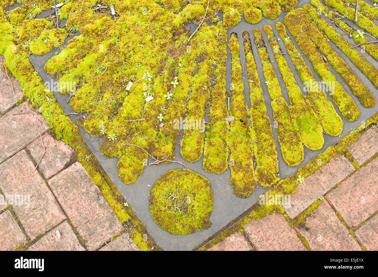 Grid iron hi-res stock photography and images - Alamy