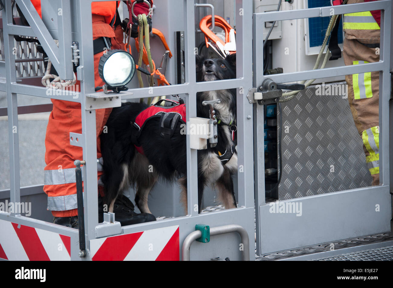 Fire & And Rescue USAR dog handler in CPL Cage Stock Photo - Alamy