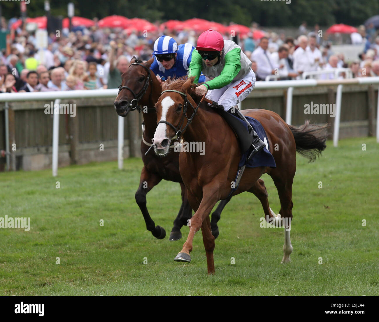 Newmarket, UK. 02nd Aug, 2014. Mexican Fiesta Day. Lady Pimpernel under ...