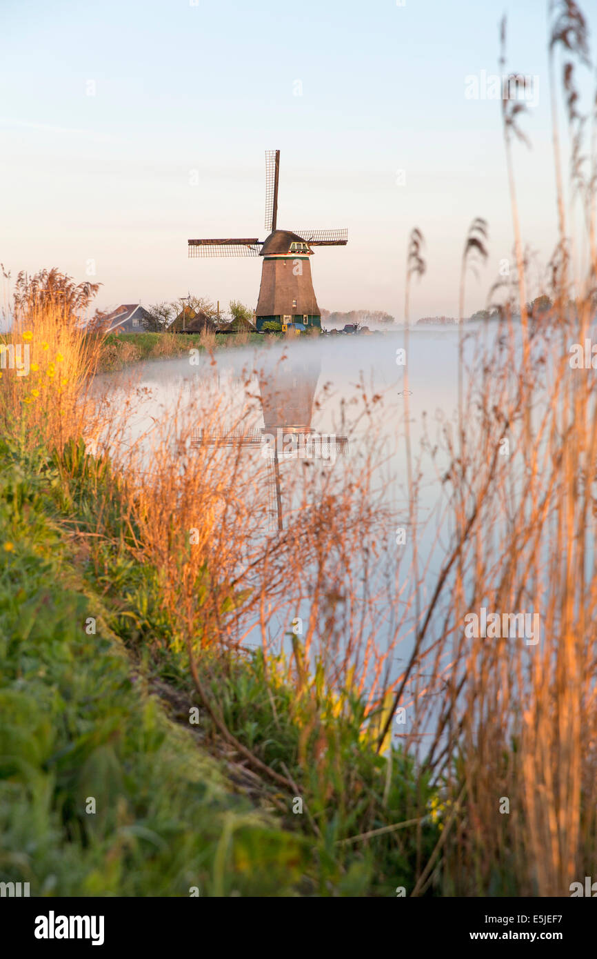 Netherlands, Wijdewormer, Windmill along belt canal of Beemster Polder ...