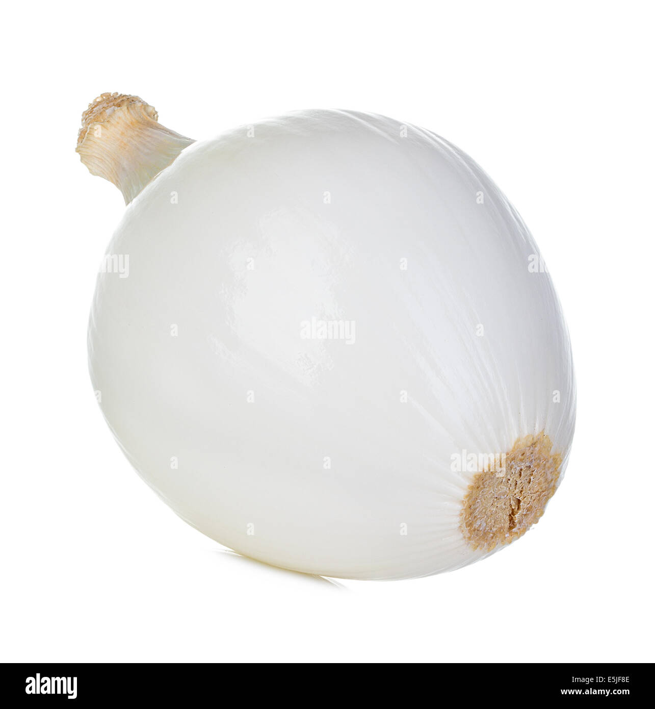 onion isolated on white background Stock Photo - Alamy