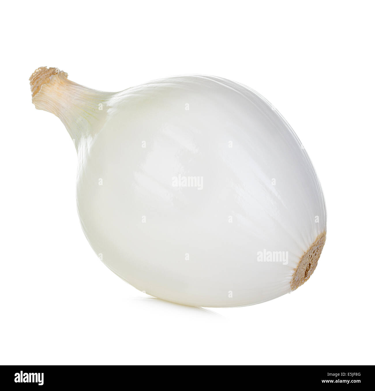 onion isolated on white background Stock Photo - Alamy