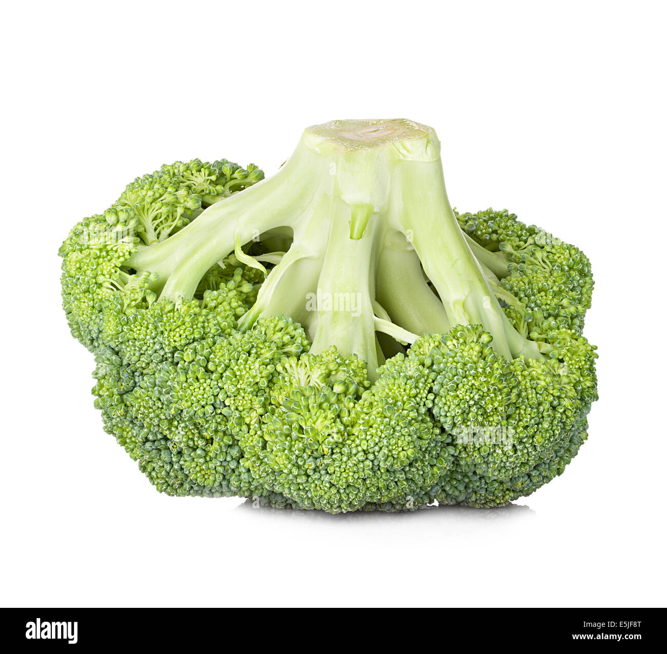 broccoli isolated on white background Stock Photo - Alamy