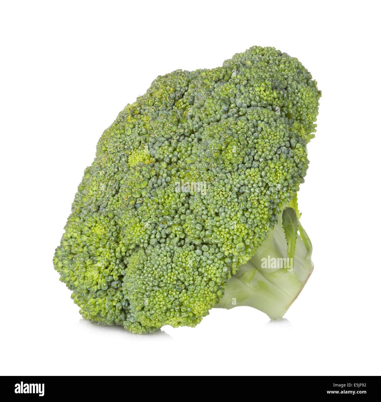 broccoli isolated on white background Stock Photo - Alamy
