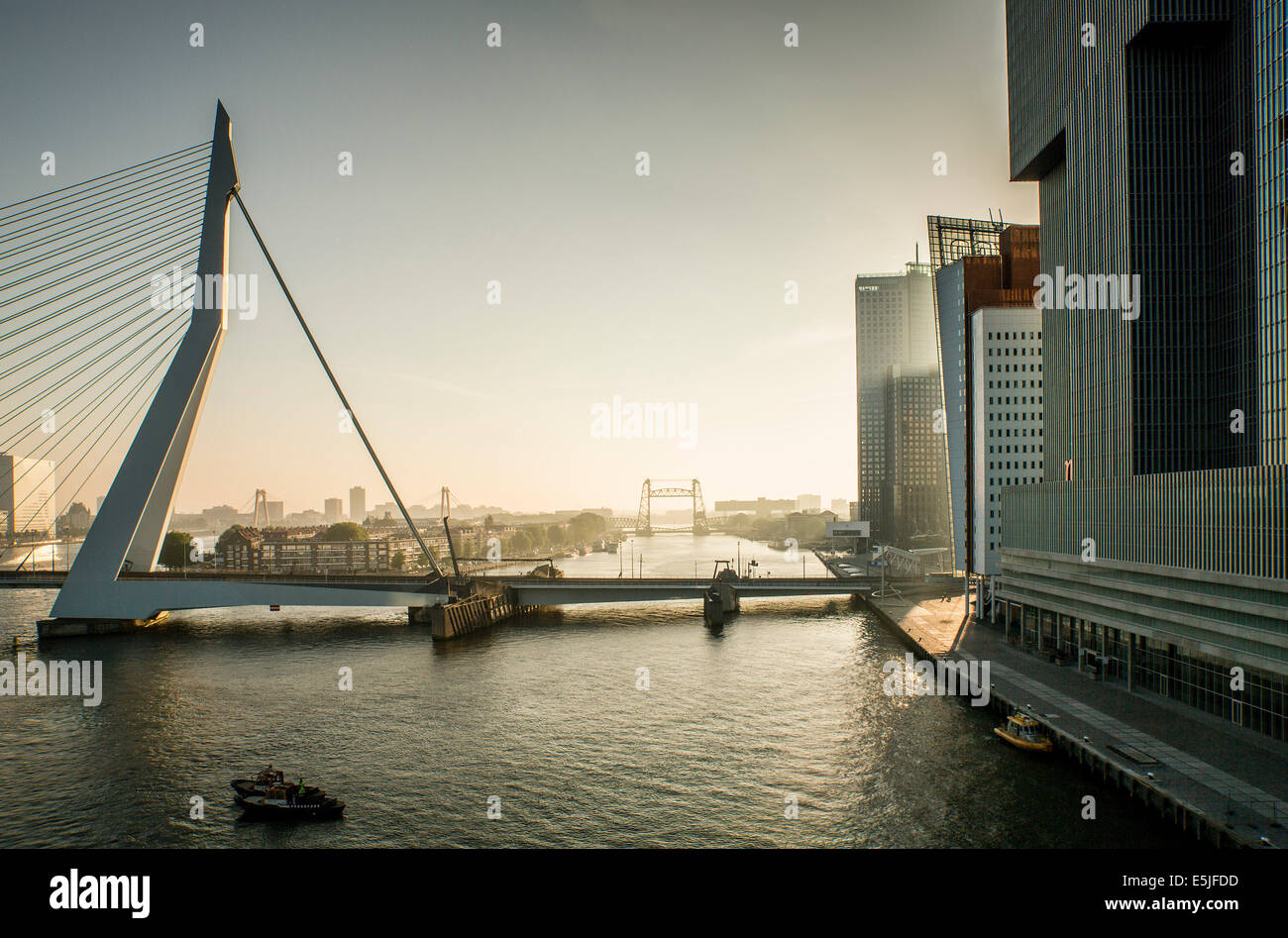 Netherlands, Rotterdam, Erasmus bridge. Sunrise. View from cruise ship ...