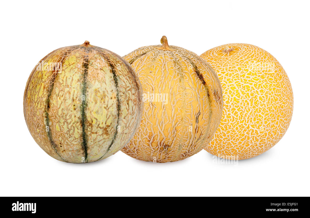 Three different sorts Galia Melons isolated on white Background Stock ...