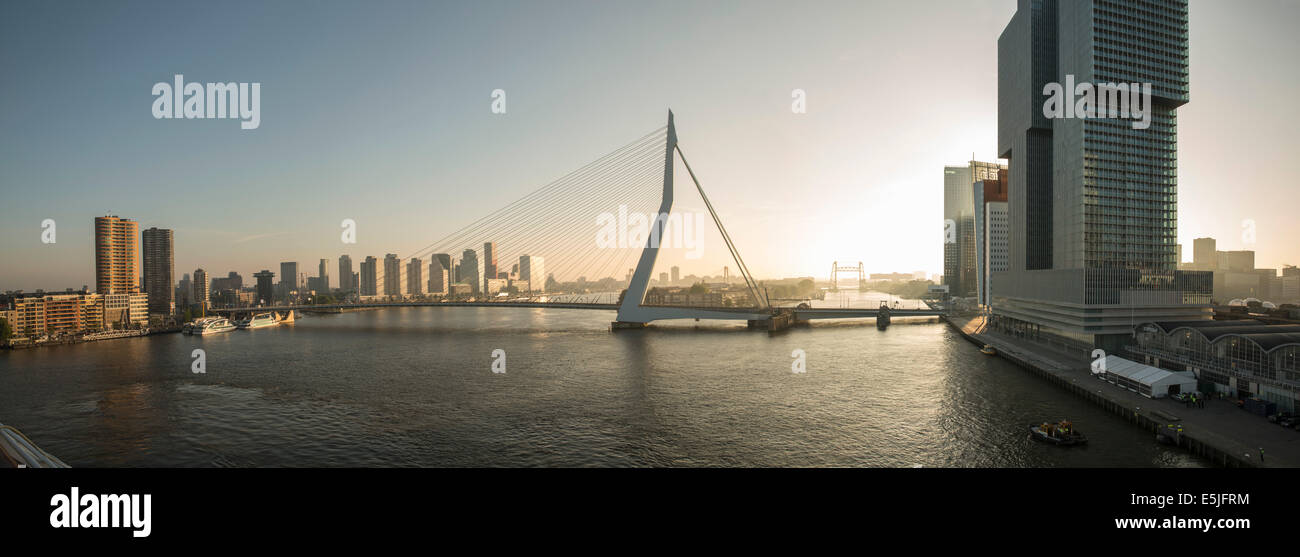 Netherlands, Rotterdam, Erasmus bridge. Sunrise. View from cruise ship ...