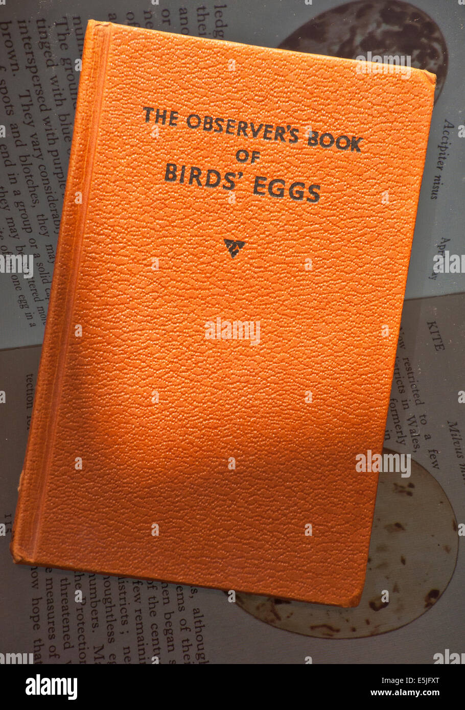 Observers book of birds hi-res stock photography and images - Alamy