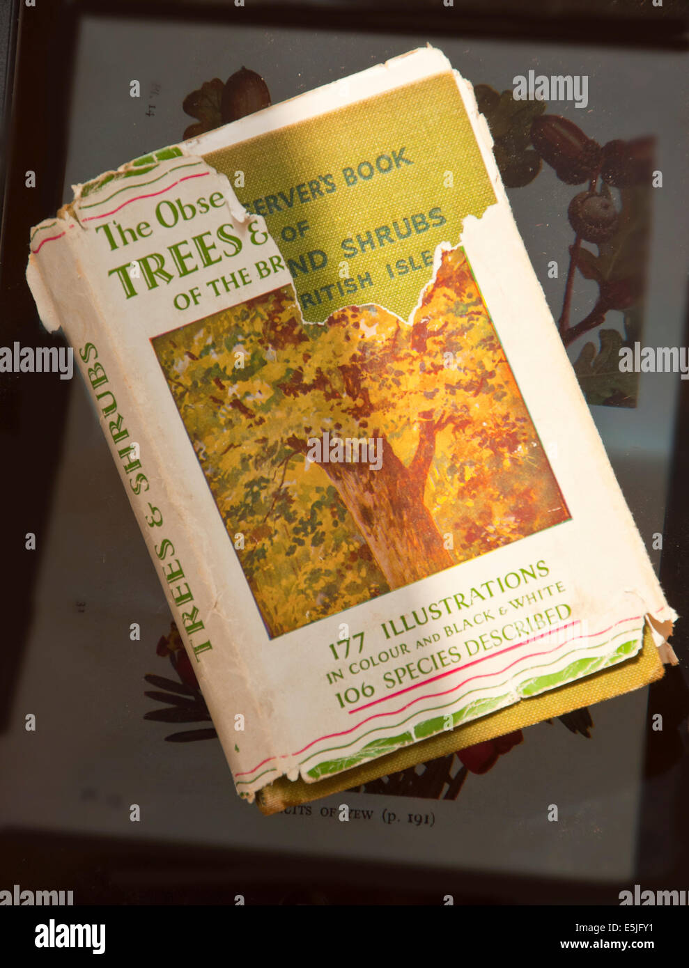 Observer's book hi-res stock photography and images - Alamy