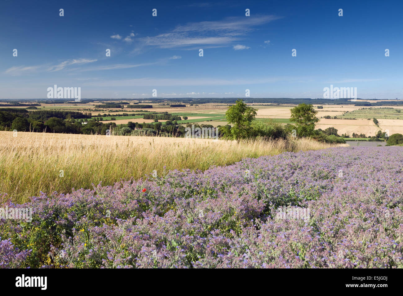 The countryside of North Lincolnshire near the village of Bonby, with ...