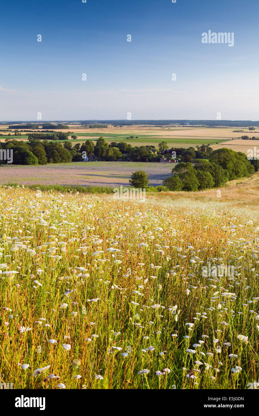 The countryside of North Lincolnshire near the village of Bonby, with ...