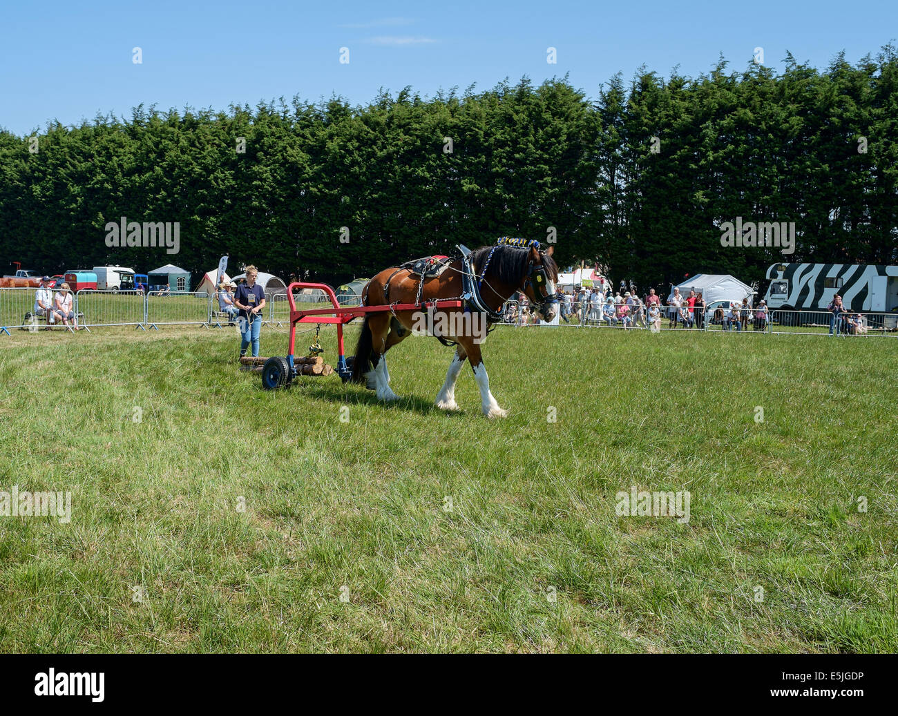 "Worstead Festival" in the county of Norfolk, UK Stock Photo - Alamy