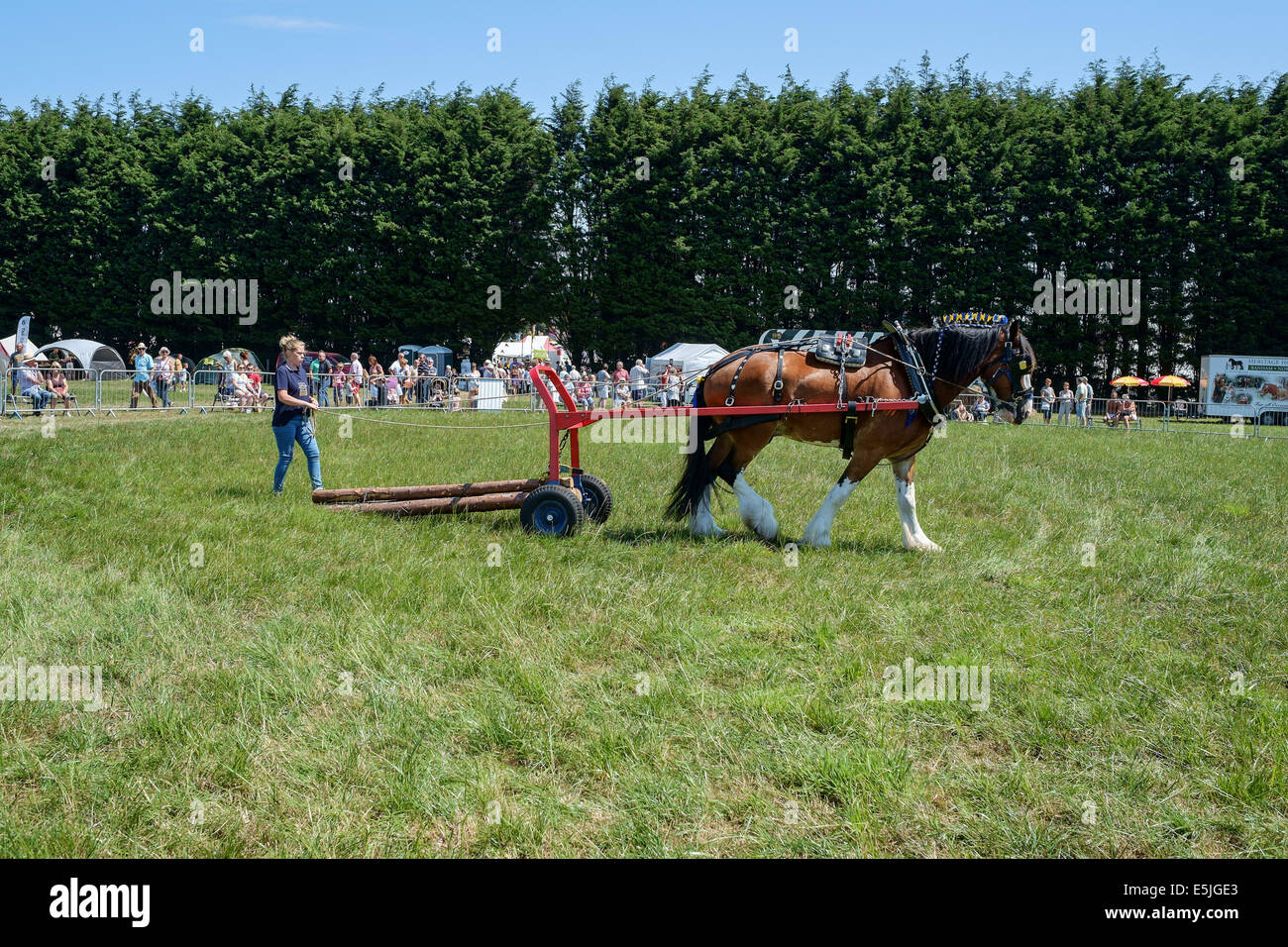 "Worstead Festival" in the county of Norfolk, UK Stock Photo - Alamy