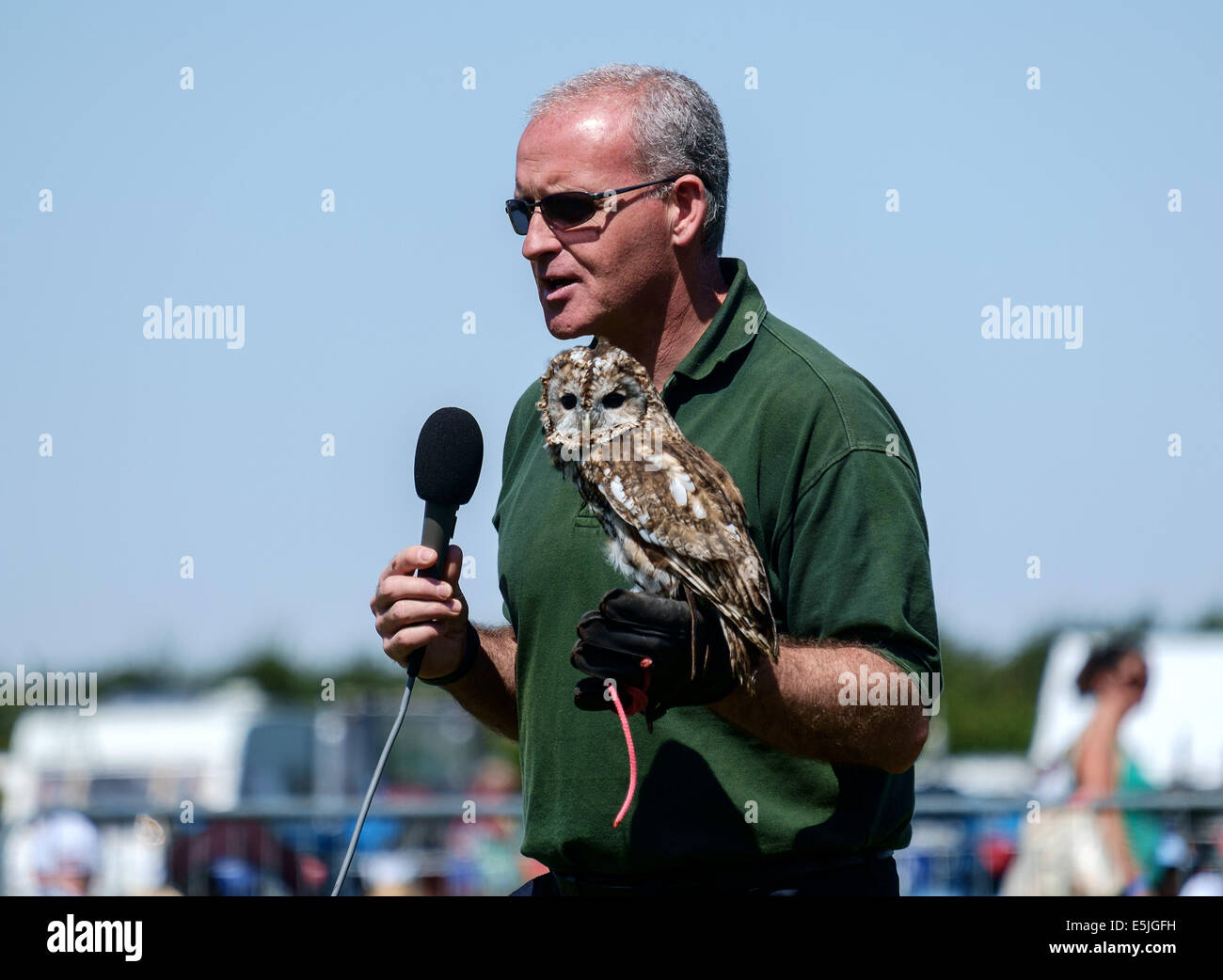 "Worstead Festival" in the county of Norfolk, UK Stock Photo - Alamy