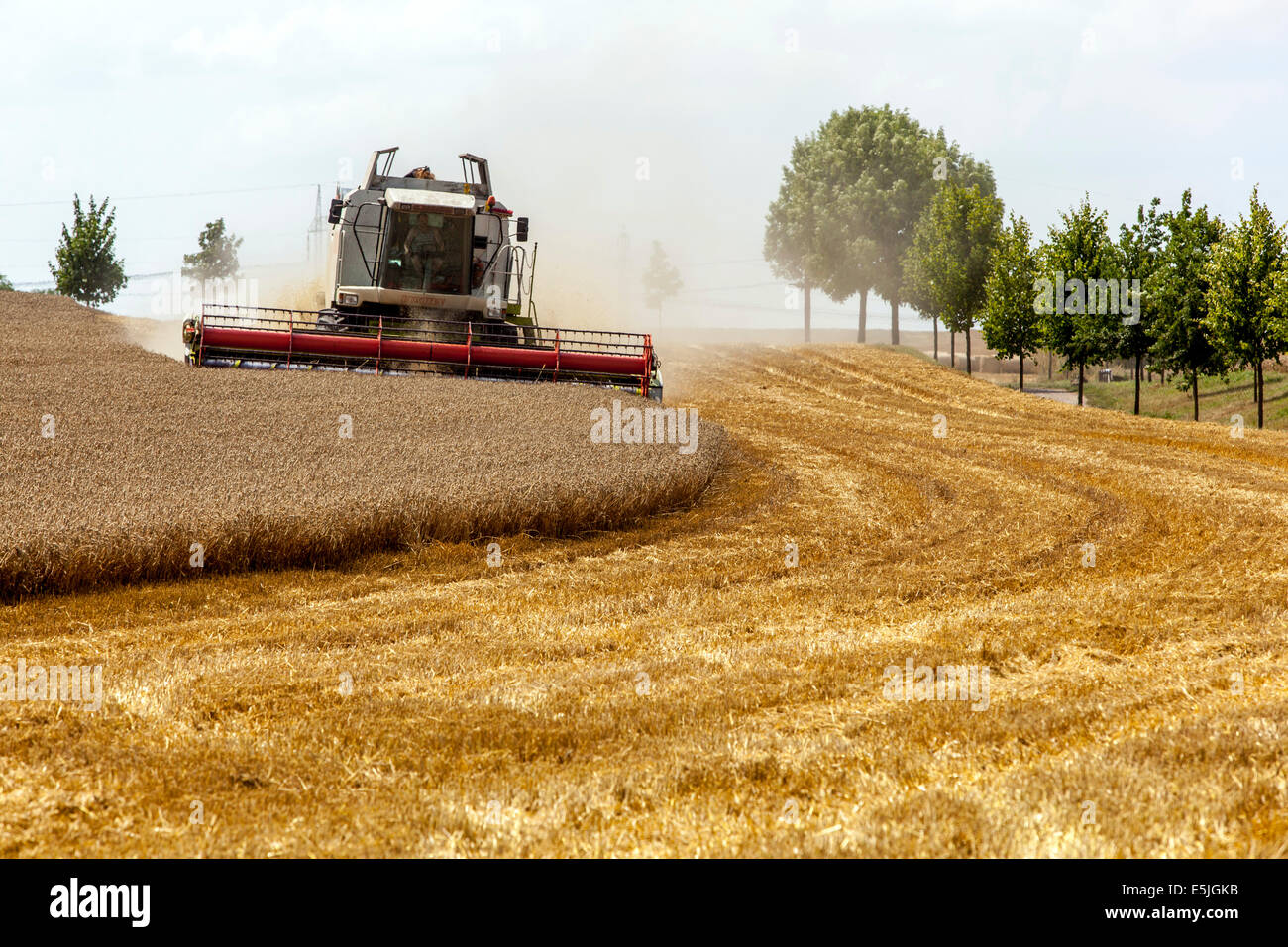 Harvesting wheat field agricultural machine hi-res stock photography ...